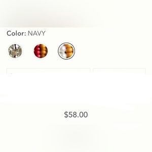 Anthropologie | Bags | Anthropologie The Super Mini Fiona Beaded Bag ...